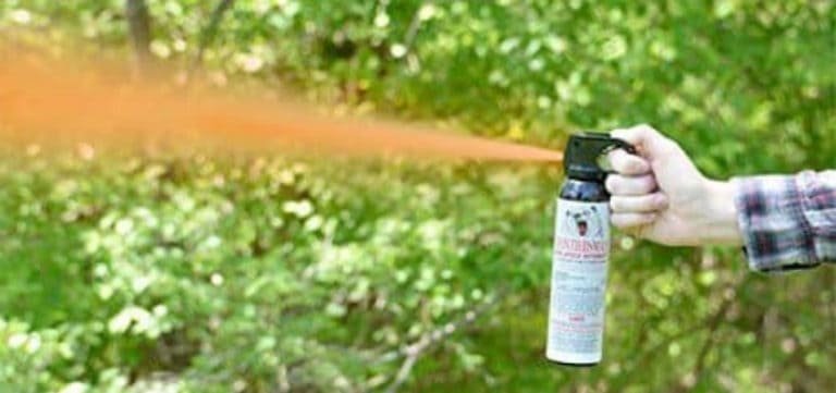 Cool Does Bear Spray Expire Images