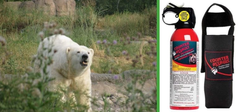 What To Do If Sprayed By Bear Mace